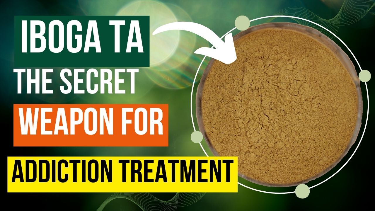 Iboga TA (Total Alkaloid) What It Is, Effects And User Guide
