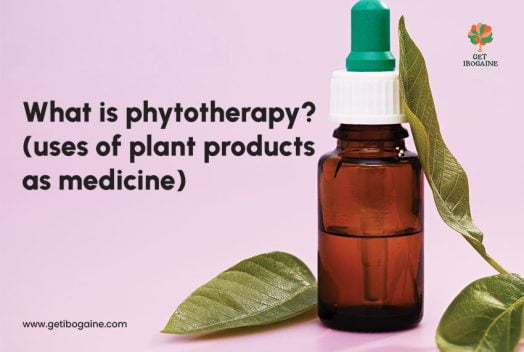 Phytotherapy: An Overview To A Revolutionary Treatment