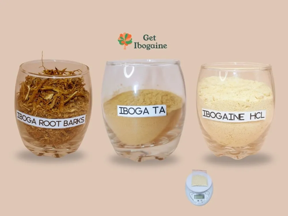 Ibogaine forklart: Virkelige effekter og bruksområder [Oppdatert 2026]